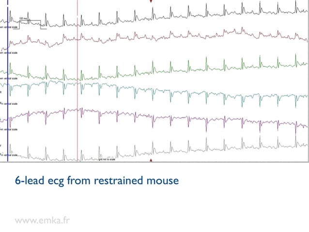 ecgTUNNEL noninvasive ecg and respiration from conscious rats/mice ...