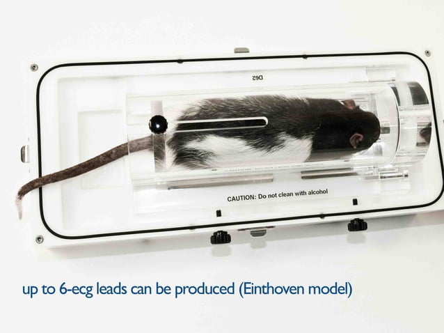 ecgTUNNEL noninvasive ecg and respiration from conscious rats/mice ...