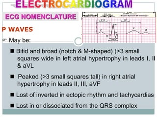 Ecg update(basic cardiology) | PPTX