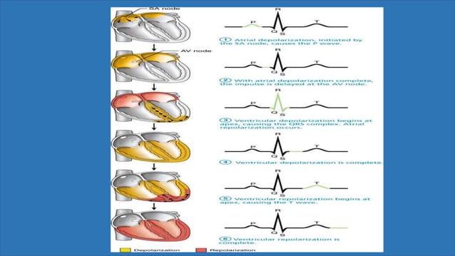 ECG & Emergency Drugs For Nurses | PPT