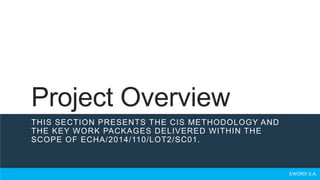 ECHA Website Customer Insight Study Summary Report | PPTX | Web ...