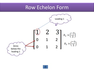 Echelon forms