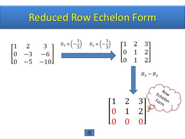 Echelon forms