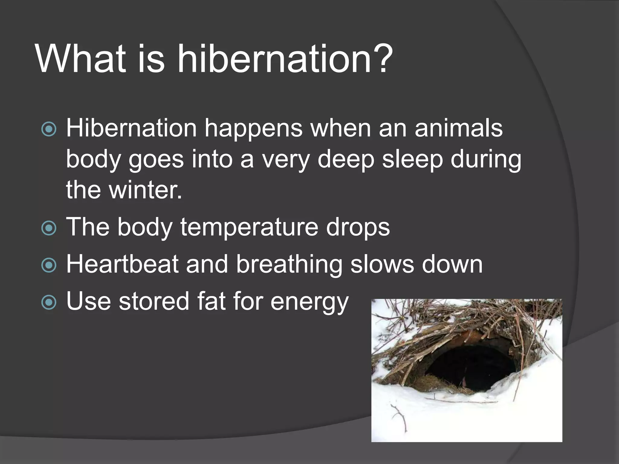 Echidna Sample Hibernation Report | PPT