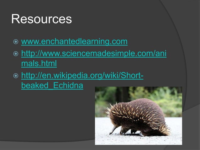 Echidnasamplehibernationreport | PPTX