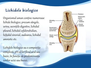 Echilibre acido-bazice | PPT