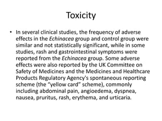 Echinacea purpurea | PPTX