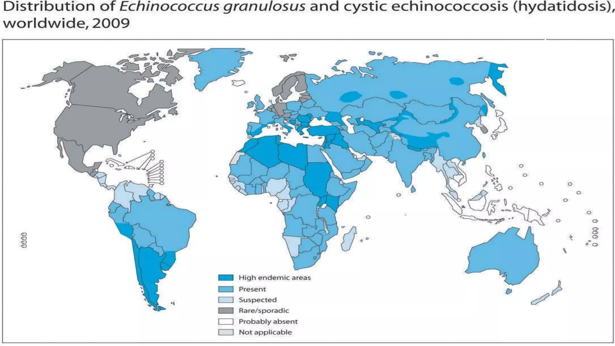 Echinococcosis, signs and symptoms, diagnosis and management. | PPTX