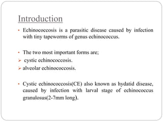 Echinococcosis..pptx