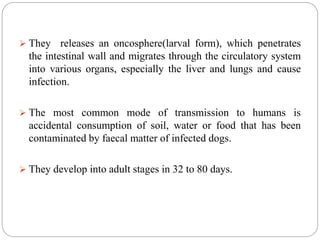 Echinococcosis..pptx