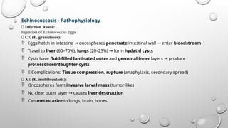 Echinococcosis, Loa loa, Necator americanus, Trichuris trichiura.pptx