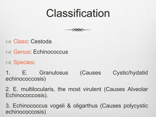 Echinococcosis | PPTX
