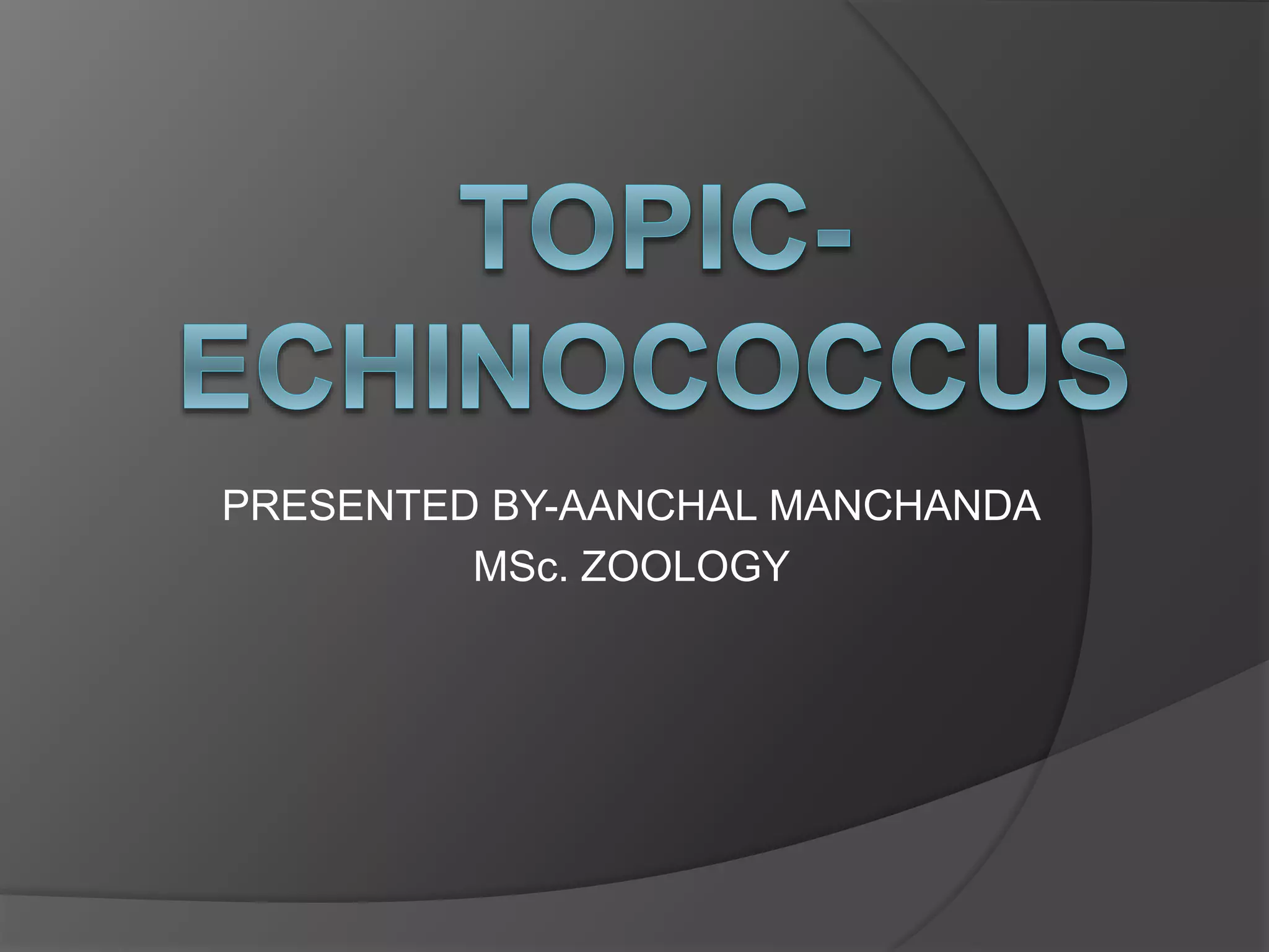 Echinococcus | PPTX