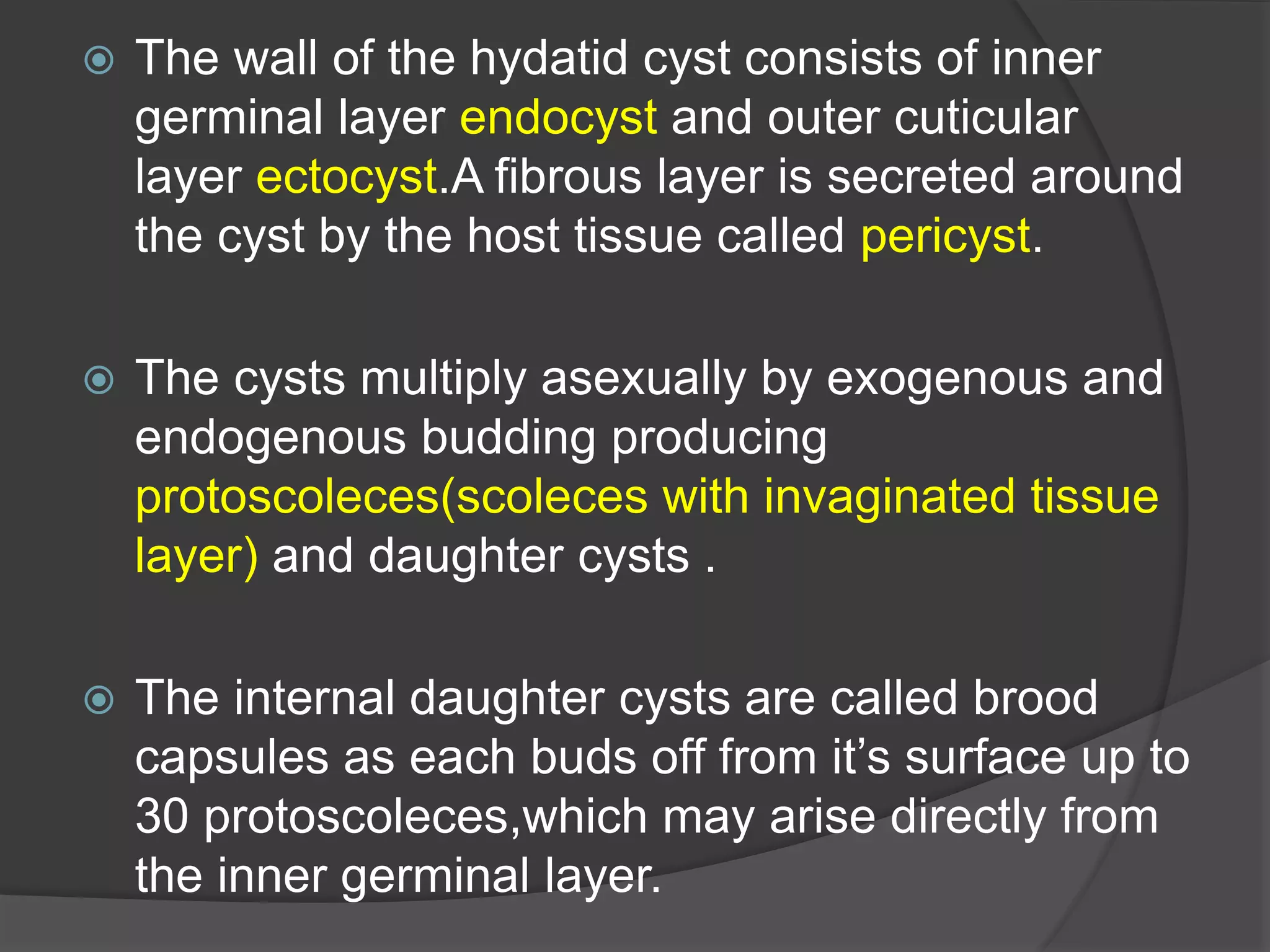 Echinococcus | PPTX