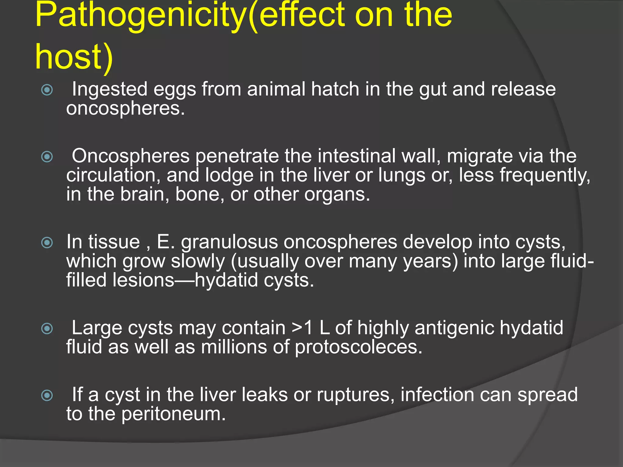 Echinococcus | PPTX