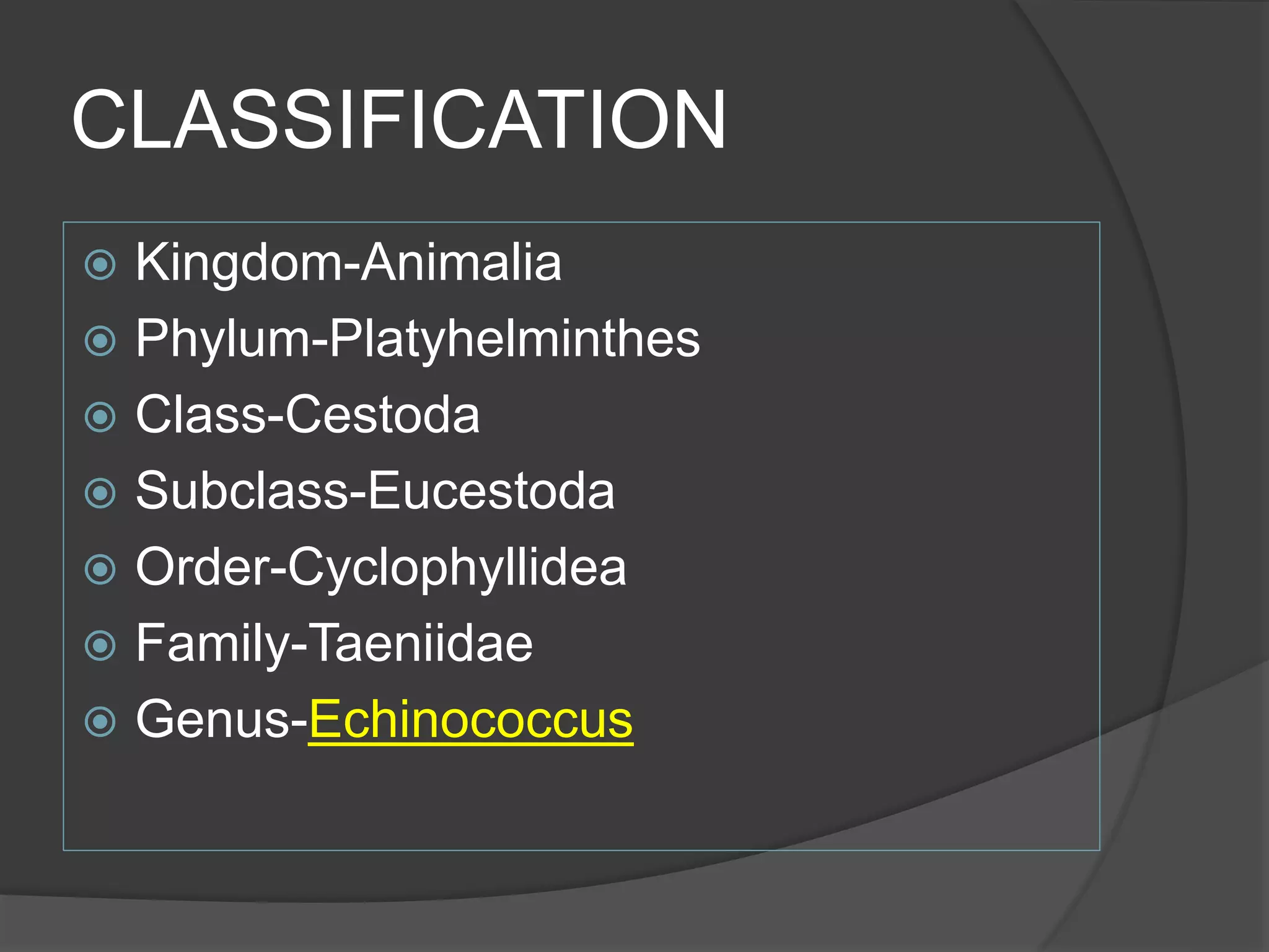Echinococcus | PPTX