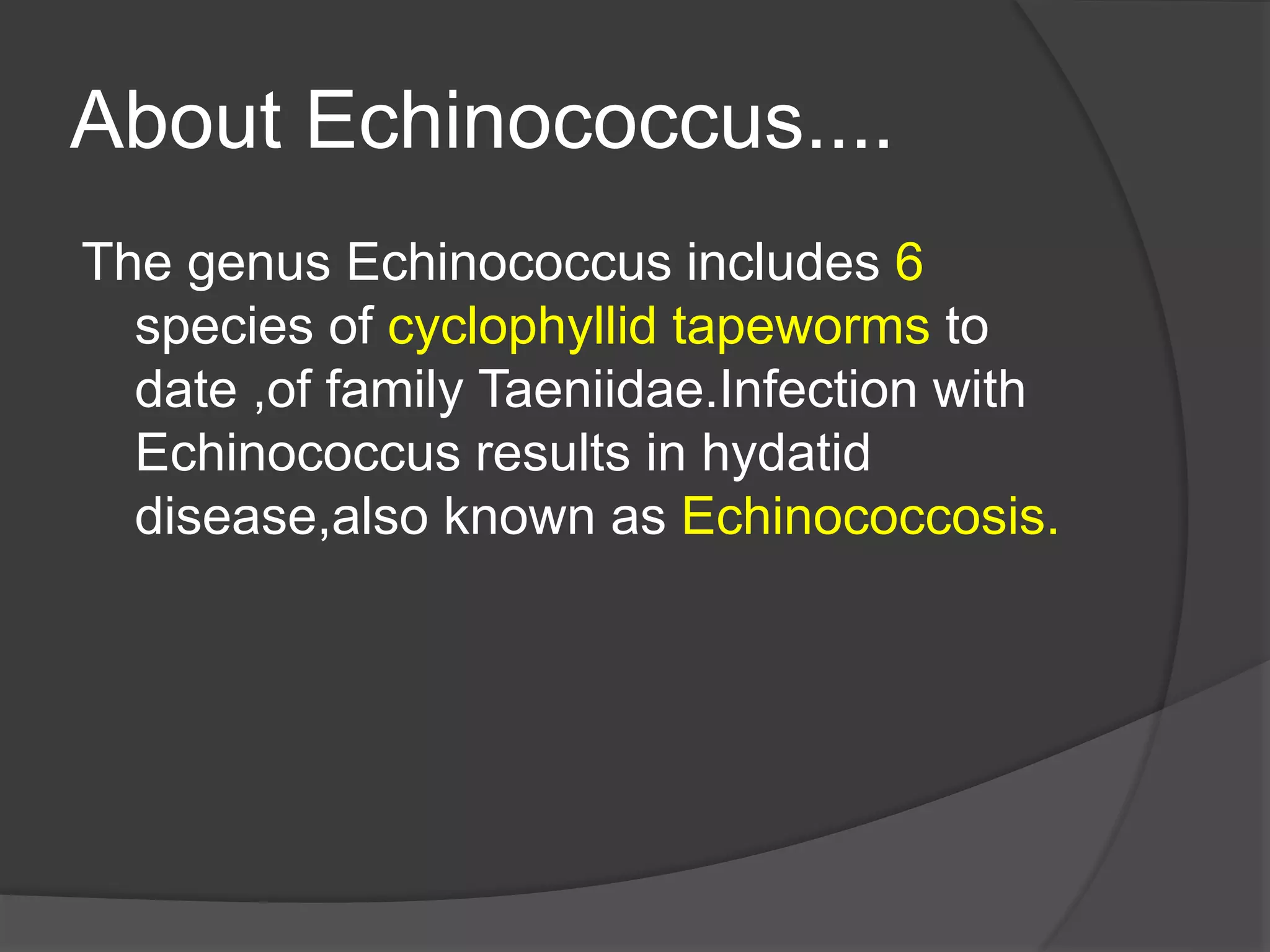 Echinococcus | PPTX