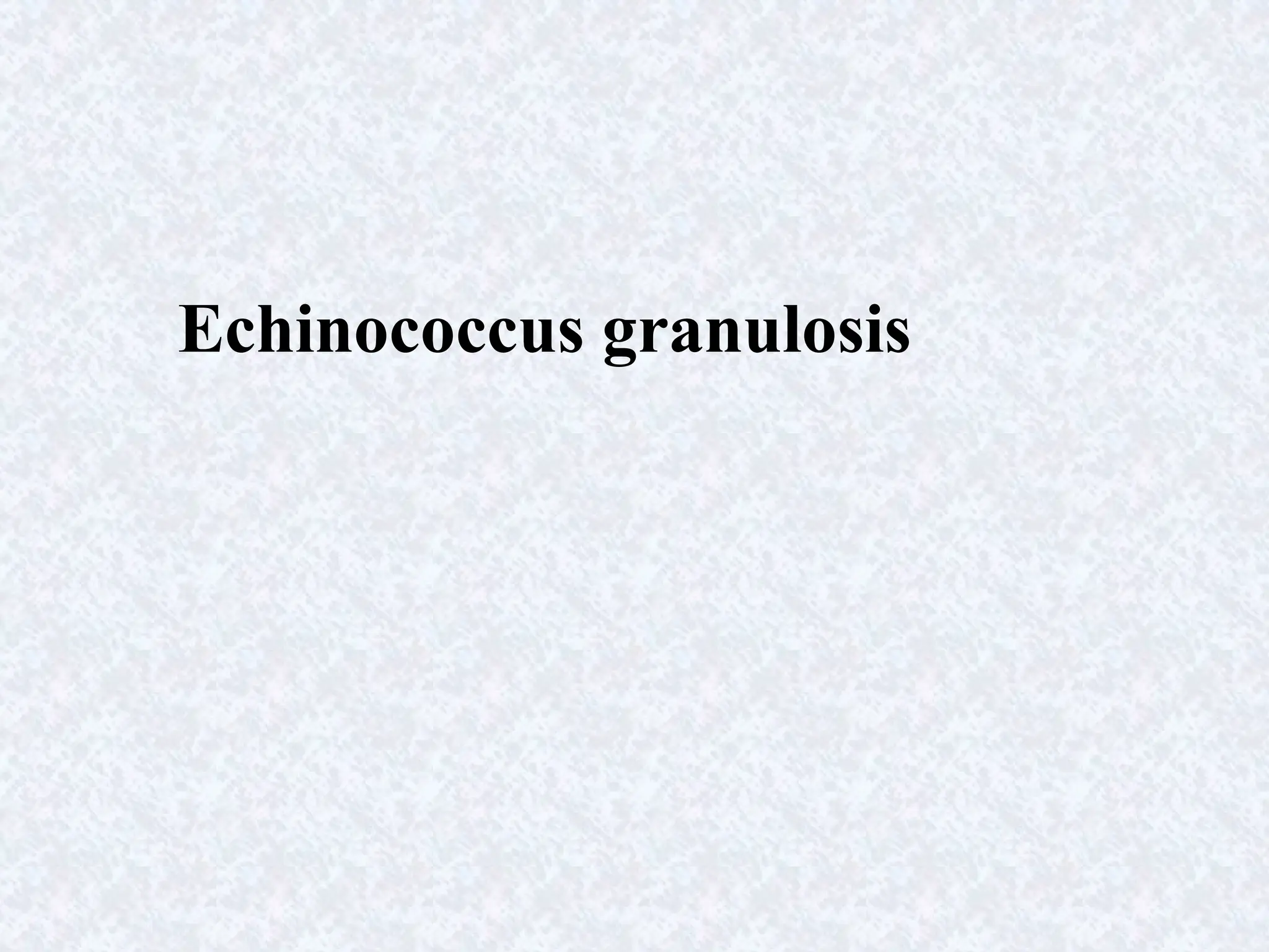 Echinococcus granulosis disease powerpoint | PPTX