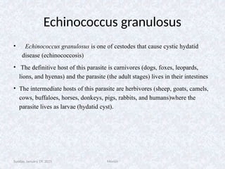 Echinococcus granulosis disease powerpoint | PPT