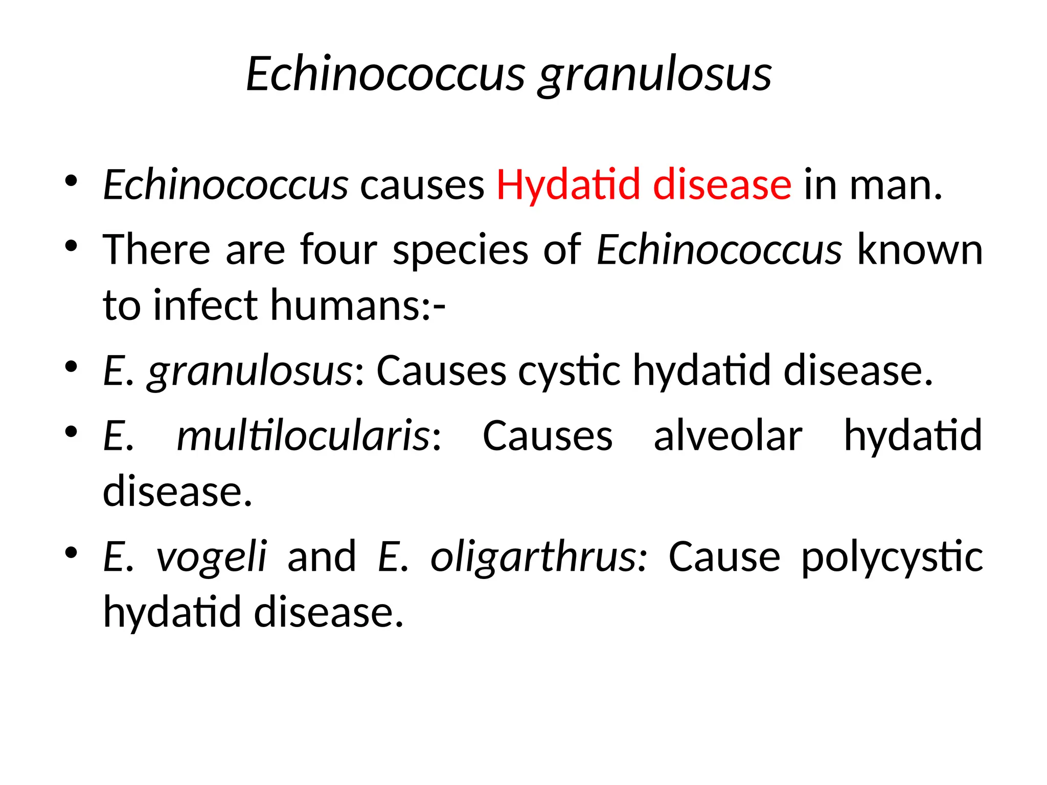 Echinococcus granulosum.............pptx