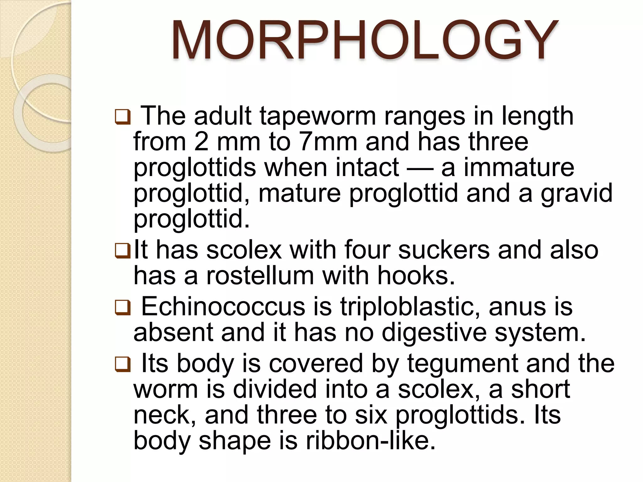 Echinococcus granulosus | PPTX