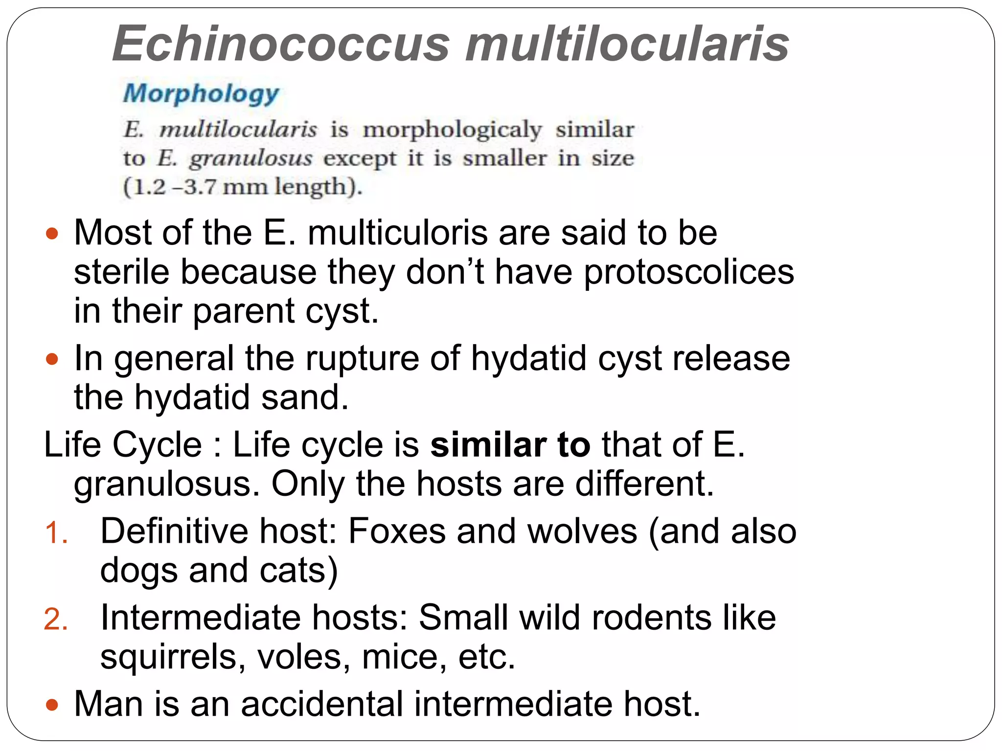 Echinococcus granulosus | PPTX