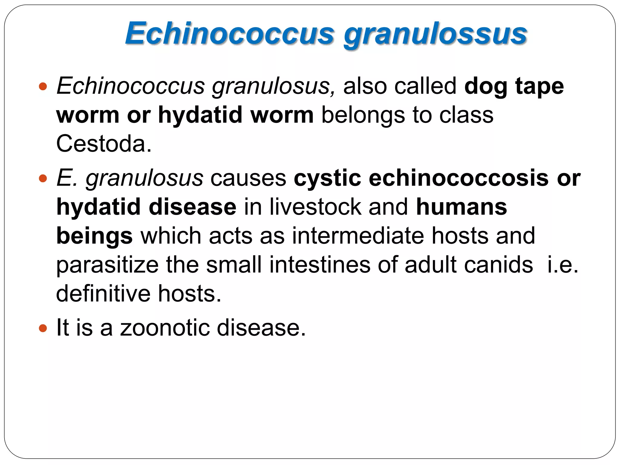 Echinococcus granulosus | PPTX