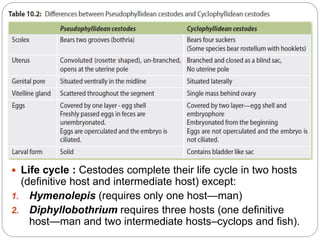 Echinococcus granulosus | PPTX