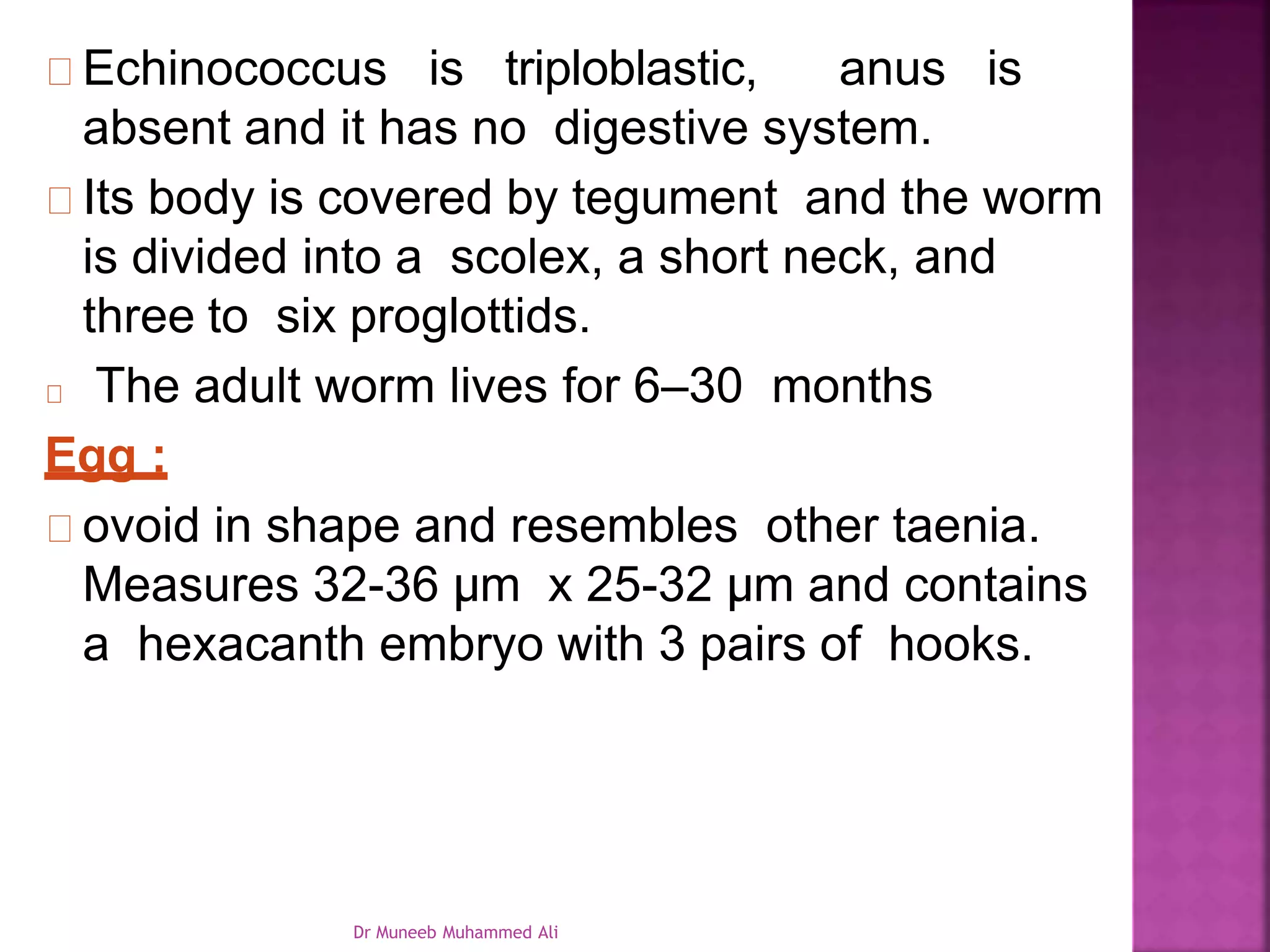 Echinococcus granulosus | PPTX