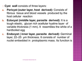 Echinococcus granulosus | PPTX