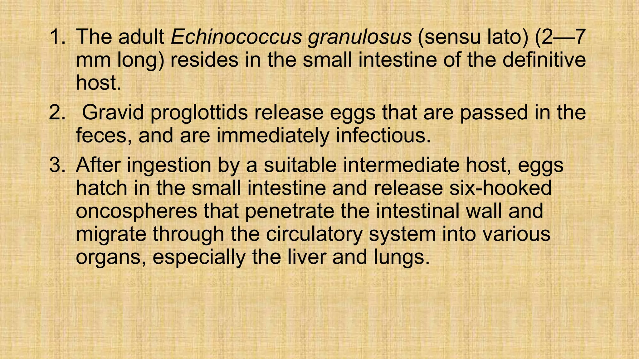 Echinococcus granulosus - ANAND GURMAITA | PPT