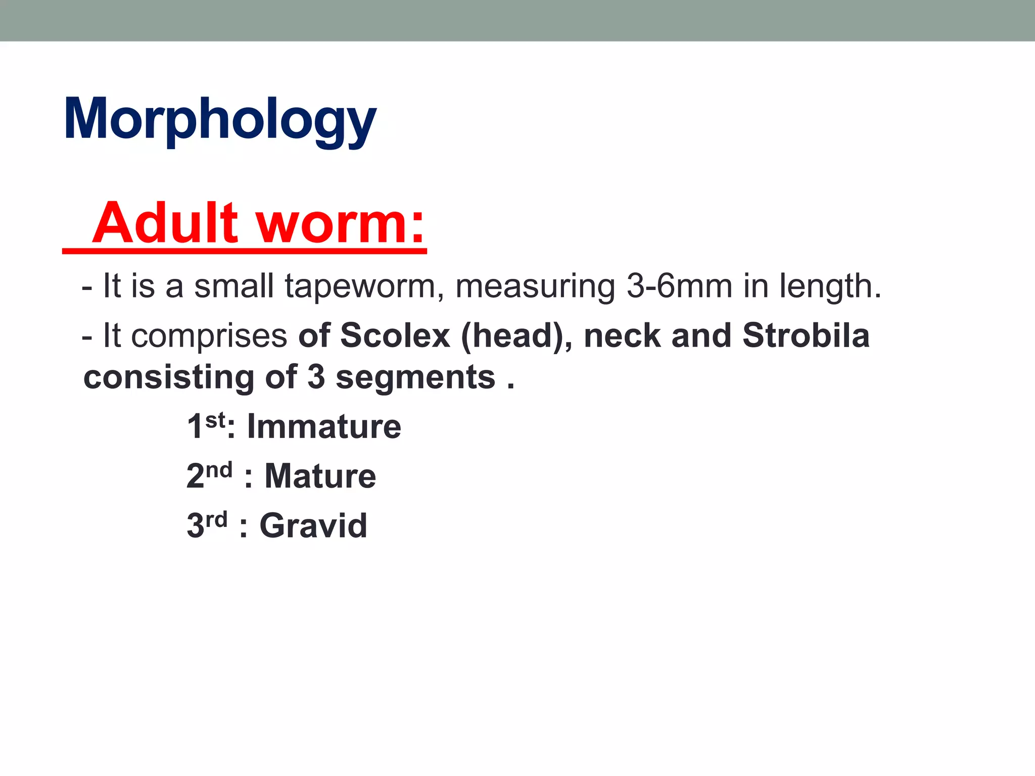 Echinococcus granulosus dog tapeworm | PPTX