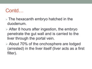 Echinococcus granulosus dog tapeworm | PPTX