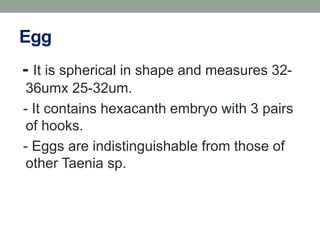 Echinococcus granulosus dog tapeworm | PPTX