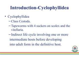 Echinococcus slideshare Presentation (1).pptx