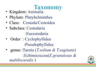 Echinococcus slideshare Presentation (1).pptx