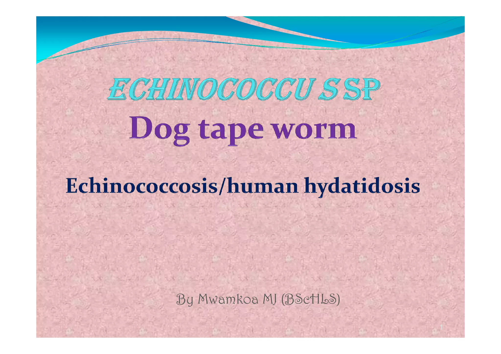 Echinococcus species | PPT