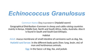 Echinococcus sps and spirochetes spp ptx. | PPTX