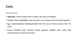 Echinococcus sps and spirochetes spp ptx. | PPTX
