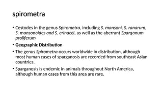 Echinococcus sps and spirochetes spp ptx. | PPTX