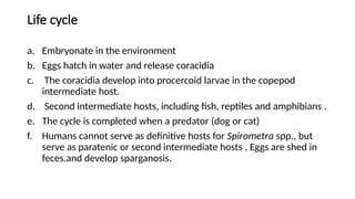 Echinococcus sps and spirochetes spp ptx. | PPTX