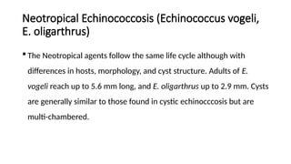 Echinococcus sps and spirochetes spp ptx. | PPTX