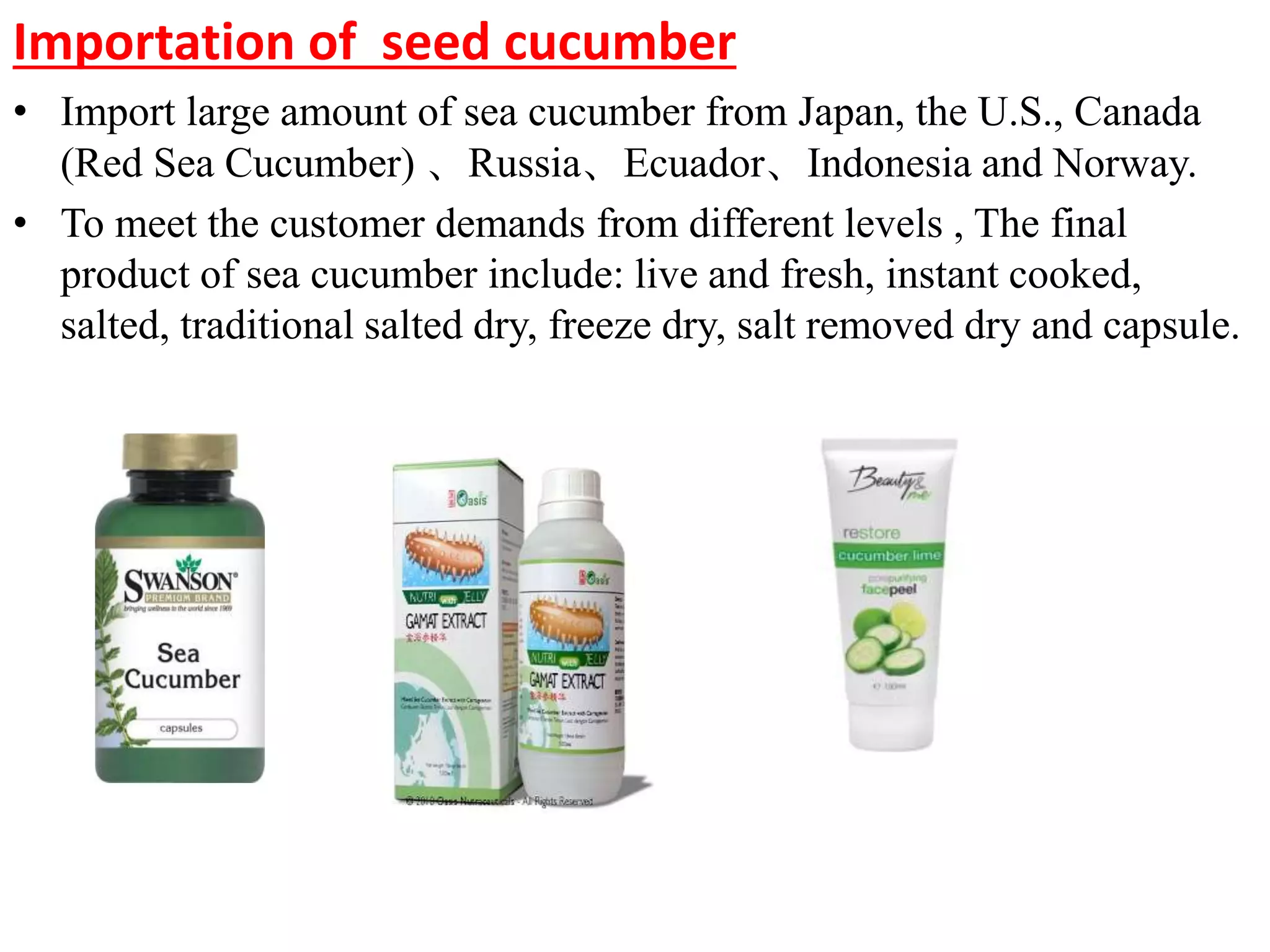 sea cucumber aquaculture | PPTX