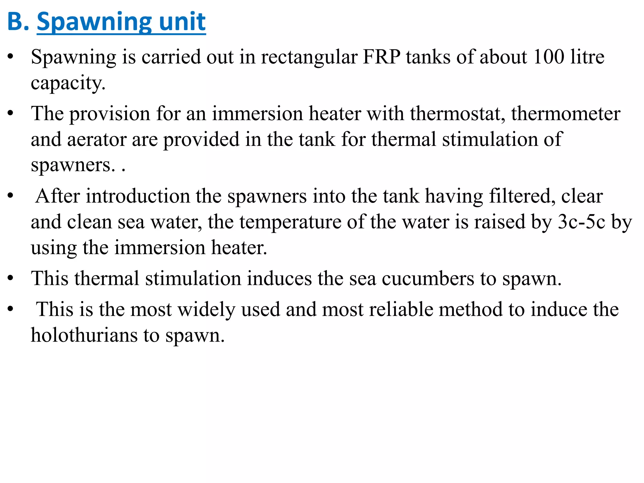 sea cucumber aquaculture | PPTX | Fish and Aquariums | Pets