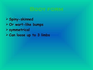 Echinodermata | PPT | Fish and Aquariums | Pets