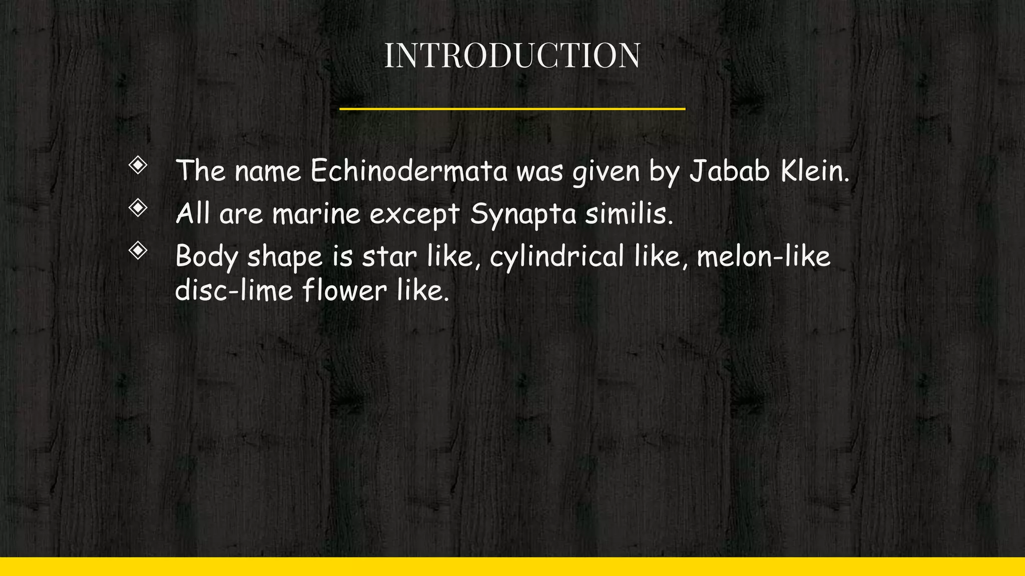 Echinodermata | PPTX