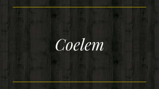 Echinodermata | PPTX