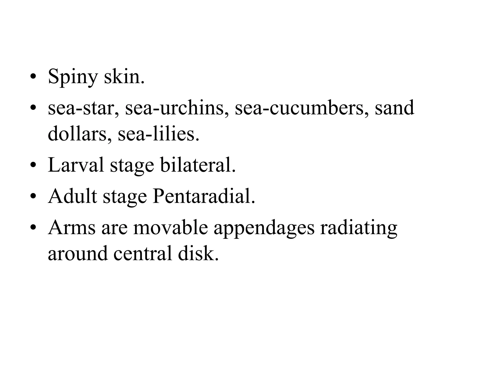 Phylum Echinodermata Presentation | PPT