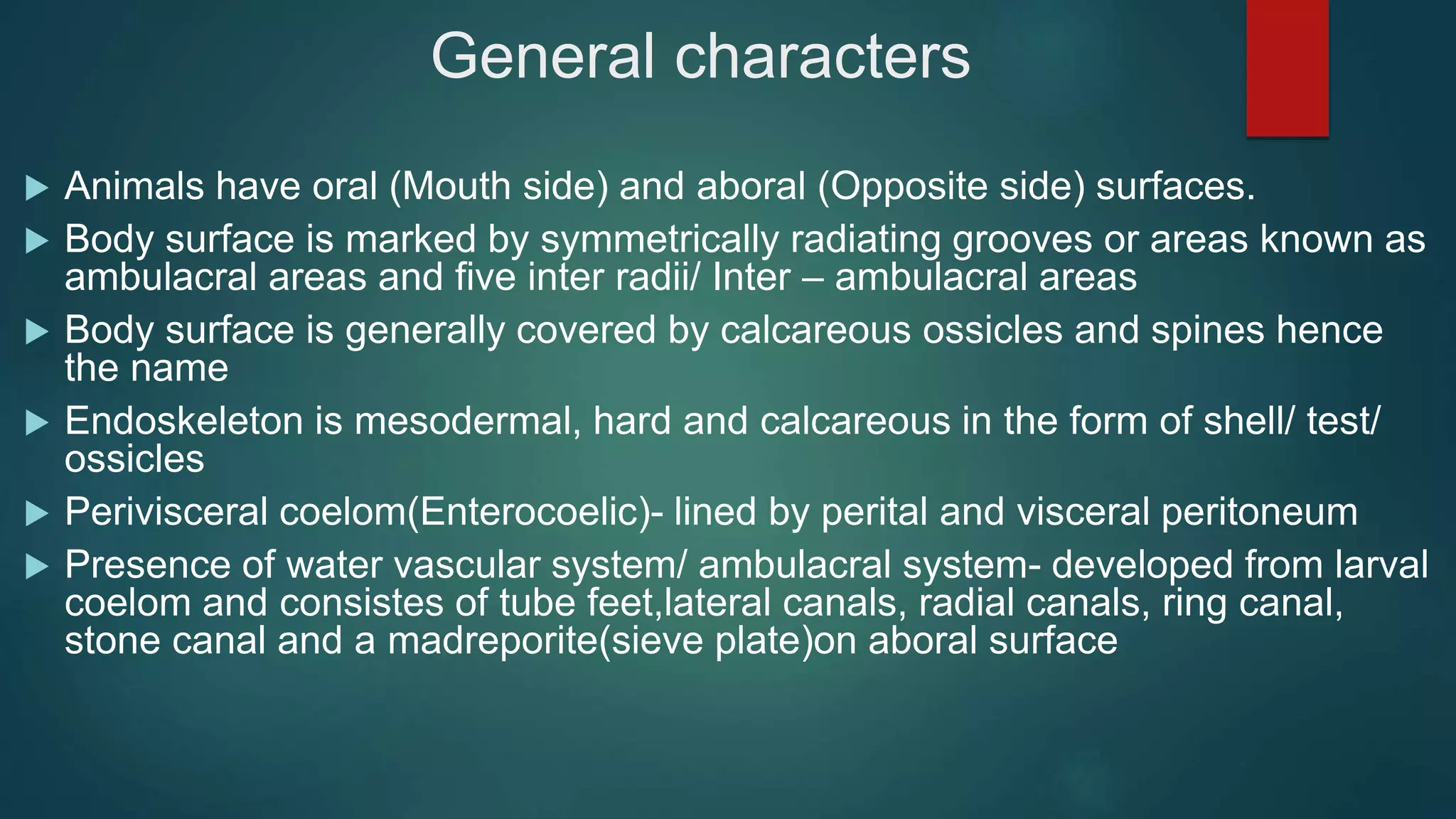 Echinodermata classification | PPTX