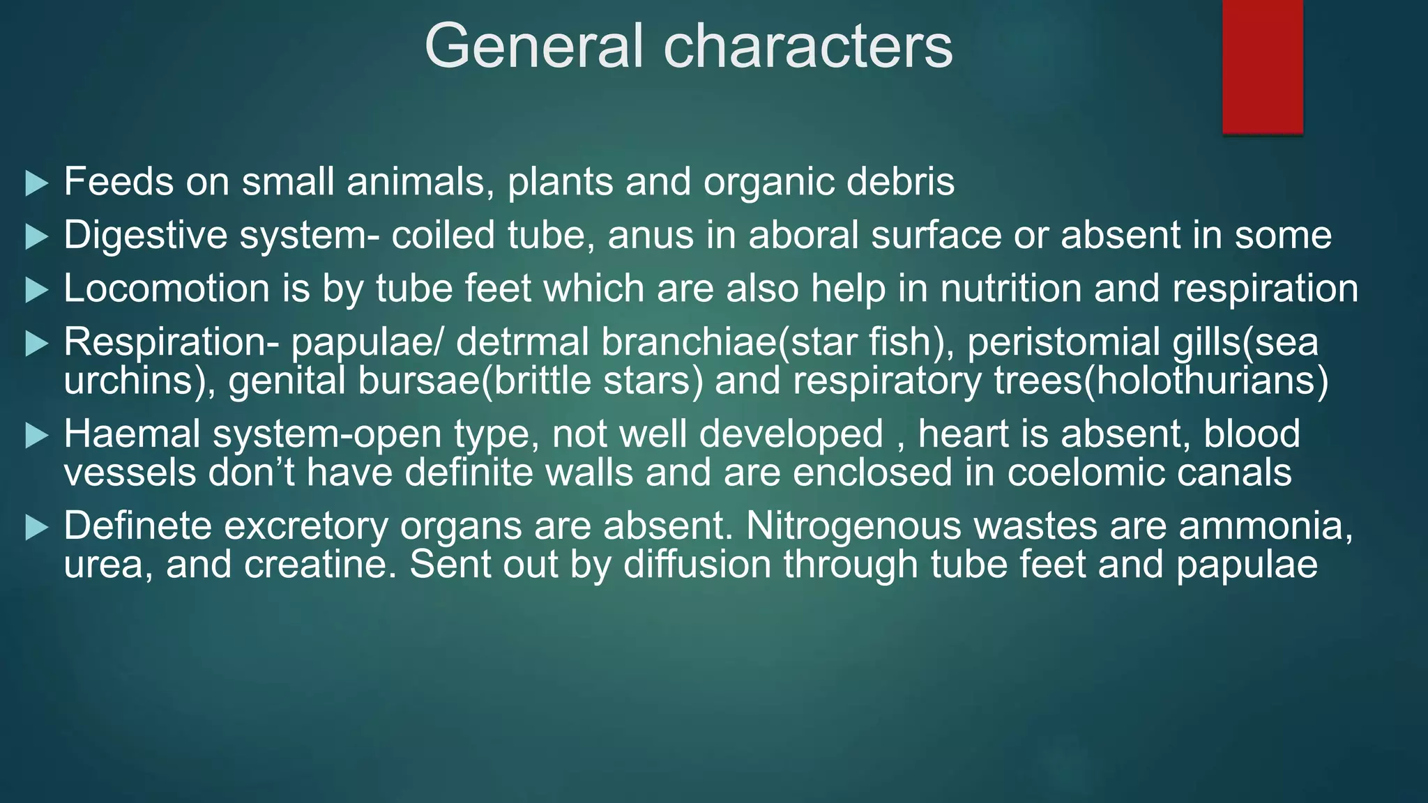 Echinodermata classification | PPTX